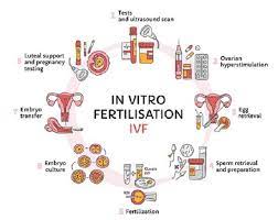Understanding Ivf: The Science, Process, and Success Rates Ivf