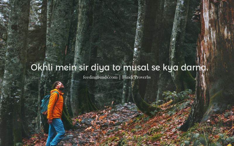 40 Hindi Proverbs With Meanings To Get Nuggets Of Wisdom 40 Hindi Proverbs With Meanings To Get Nuggets Of Wisdom
