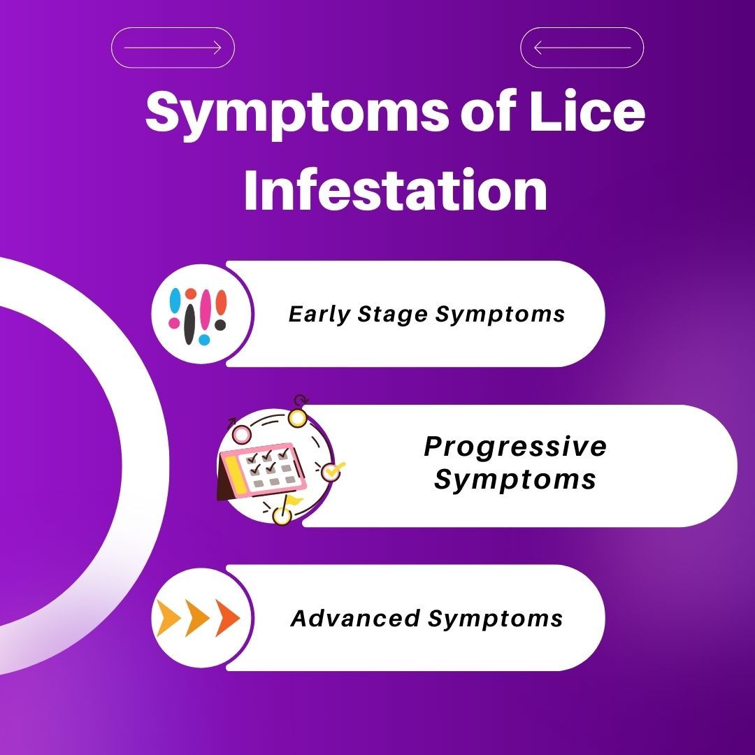 Complete Guide to Lice Infestation: Diagnosis, Care, and Recovery ...