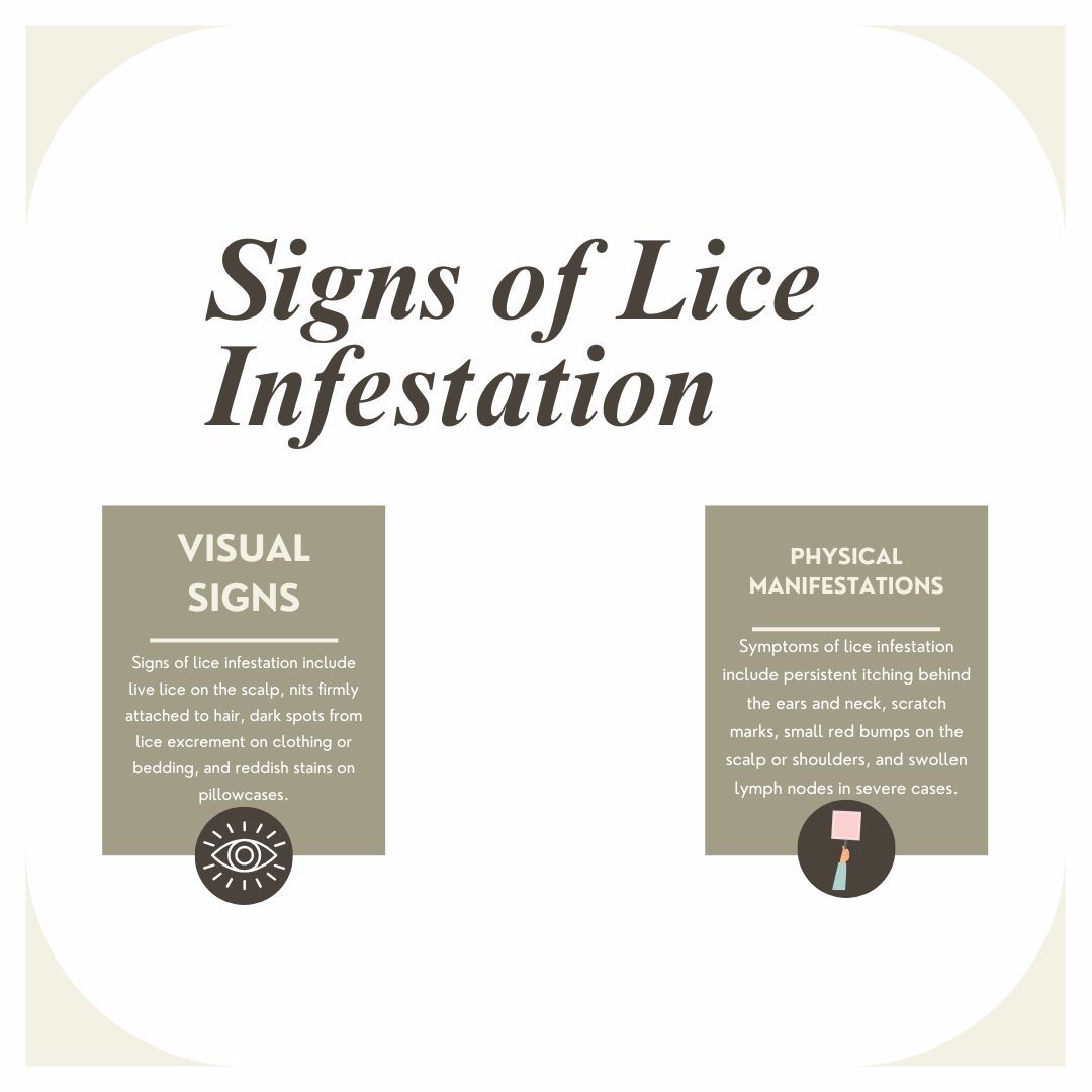 Complete Guide to Lice Infestation: Diagnosis, Care, and Recovery ...