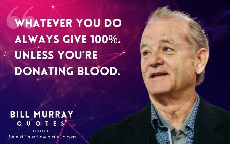 Bill Murray Motivational Quotes